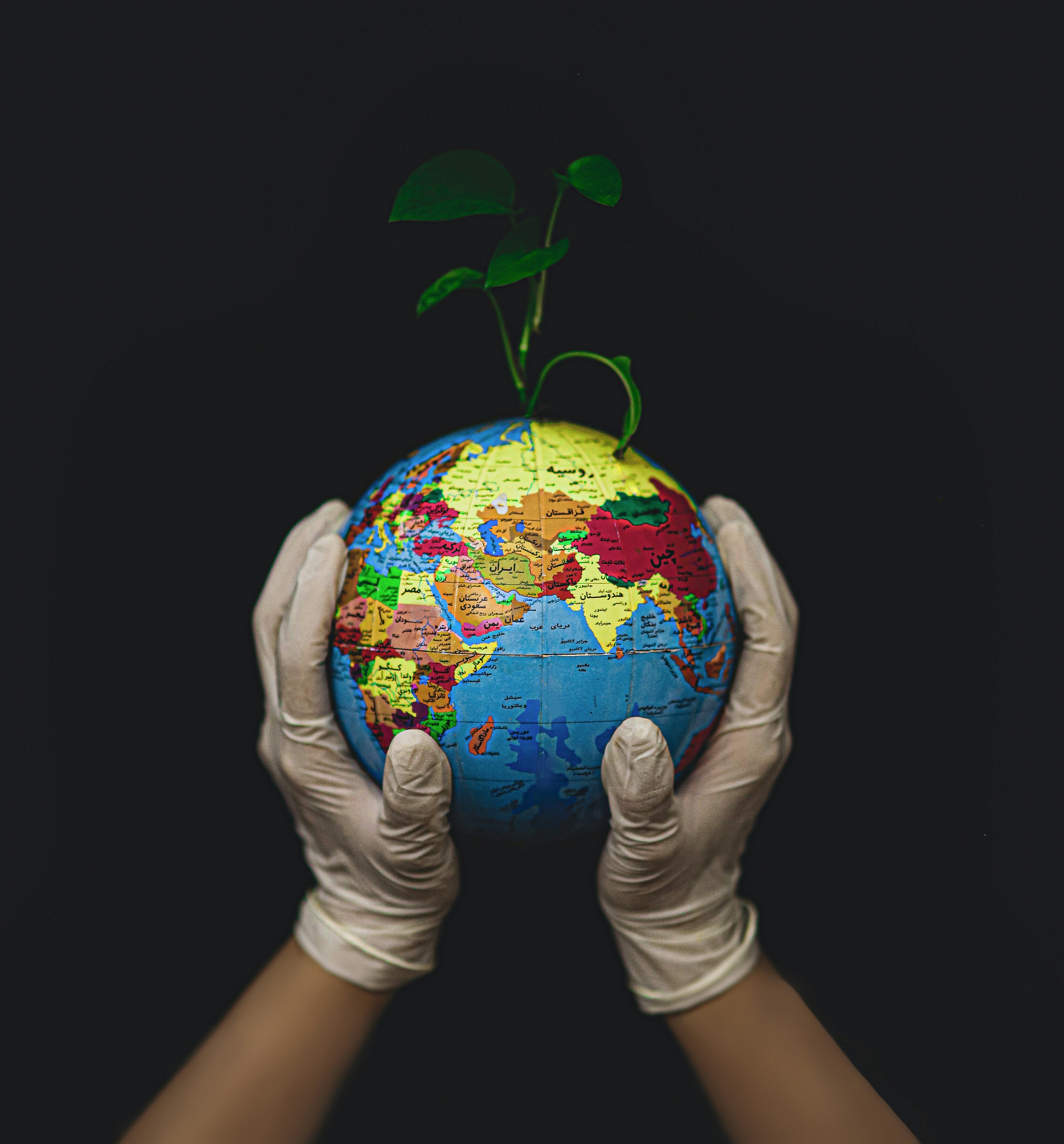 Earth Day: Eco-Friendly Cleaning for a Healthier Planet